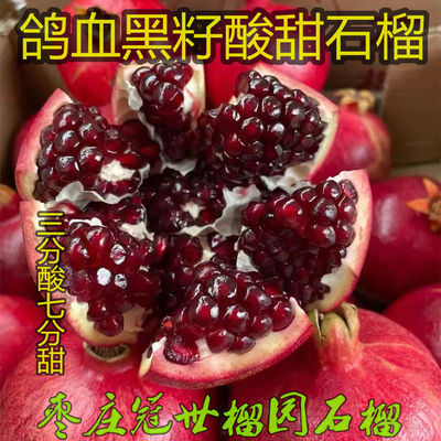 新鲜山东枣庄酸甜口包邮石榴