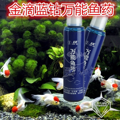 金滴蓝钻大万鱼药600ml 鱼缸 水族箱 淡水 观光鱼 鱼药水
