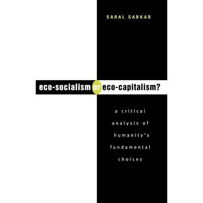 预售 Eco-Socialism or Eco-Capitalism?英文原版 Bloomsbury