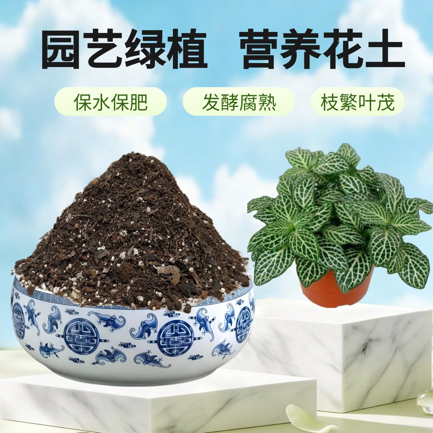 网纹草营养土椰糠家用室内庭院迷你微景观观叶盆栽专用翻换种植土