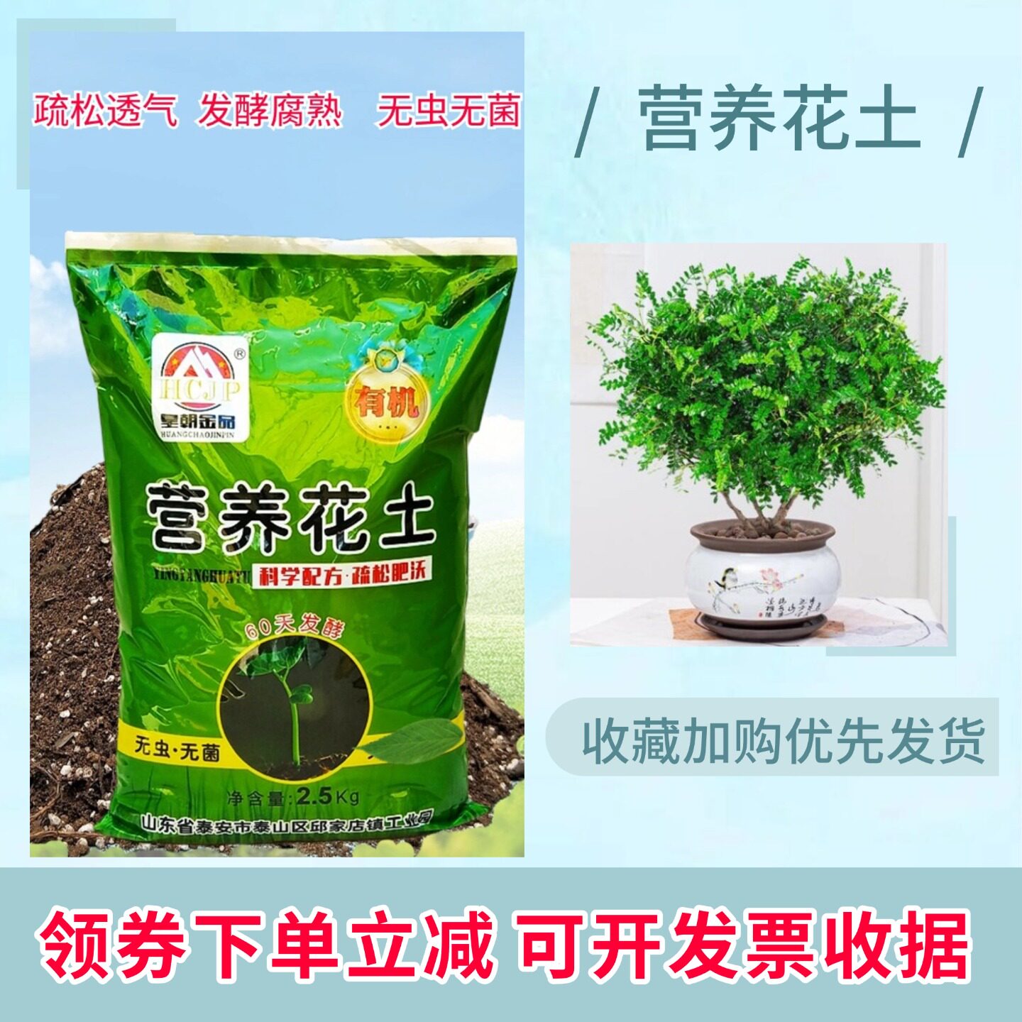 胡椒木清香木盆景营养土疏松家用室内老桩红芽盆栽专用翻换种植土