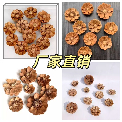已剪好松果花干松花节日装饰品幼儿园手工环创材料DIY去头松果
