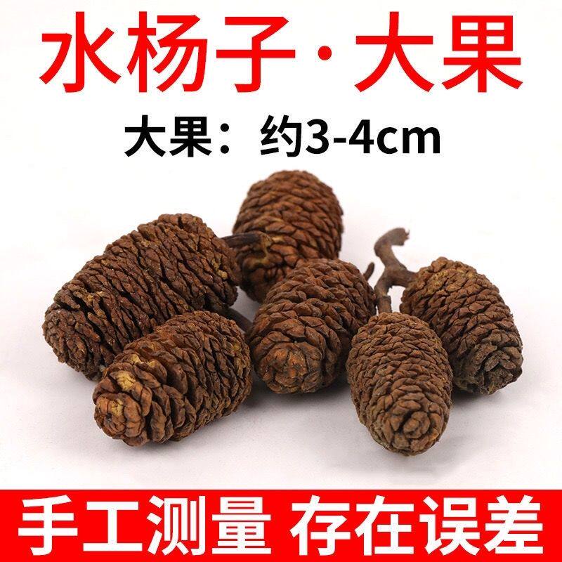 水扬子天然植物小松果 创意花环制作干花材料 森系永生花干果实