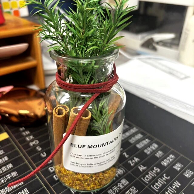 永生绿色细尤加利叶千层叶万层金桉树叶DIY装饰手工干花材料玫瑰