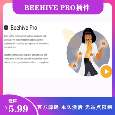 Beehive Pro 汉化中文版Google Analytics分析自定义高级设置插件
