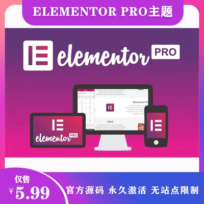 Elementor Pro 汉化中文 可视化编辑页面自定义设计插件
