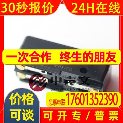 BZ-R7216传感器基本/快动开关 Large Basics Z PLUNG