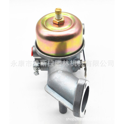 立能厂家直供491031 490499 491026 281707 化油器