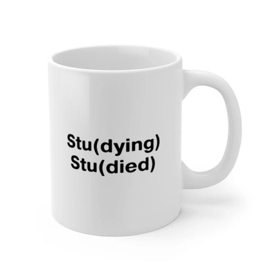 Studying Studied 学习状态学术人研究生PHD 陶瓷马克杯水杯杯子