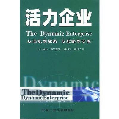 正版9成新图书丨 活力企业从混乱到战略 从战略到实施  范宁 北京工业大学出版社  （美）丽莎·弗里德曼（Lisa Friedman），（美