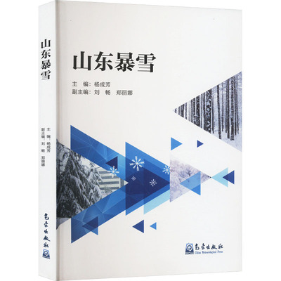 山东暴雪 杨成芳 编 环境科学专业科技 新华书店正版图书籍 气象出版社