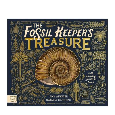 【现货】化石守护者的宝藏：可以触摸的神奇化石 The Fossil Keeper's Treasure 英文进口原版儿童百科绘本6-9岁Amy Atwater外文正