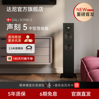 达尼声刻5无源木质落地音箱