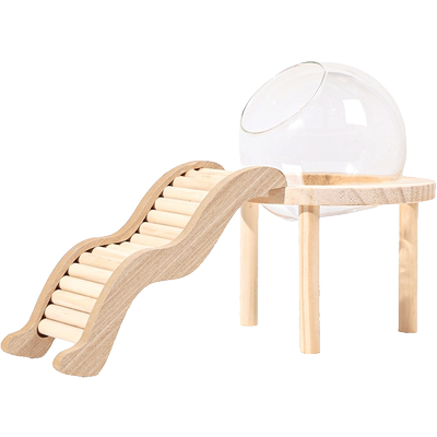 仓鼠太空舱玻璃浴室金丝熊透明厕所夏季降温睡窝躲避屋造景用品