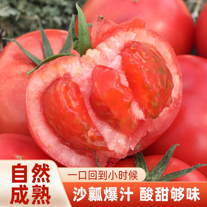 老农食品店农家西红柿新鲜沙瓤水果番茄蔬菜蜜蜂授粉柿子4斤包邮