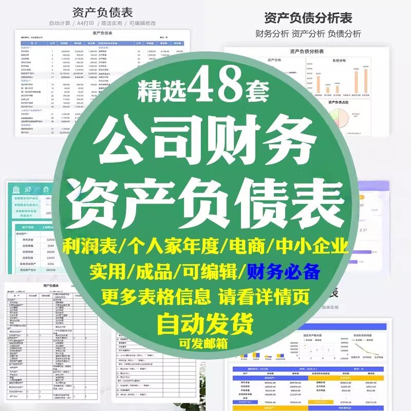 公司财务管理资产负债表格利润表简约可视化个人家庭网店商预算