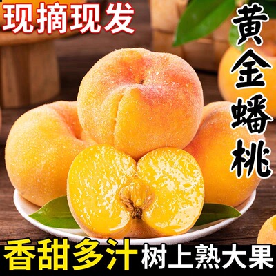 陕西彩虹毛蟠桃新鲜水果当季整箱油桃孕妇水果顺丰包邮