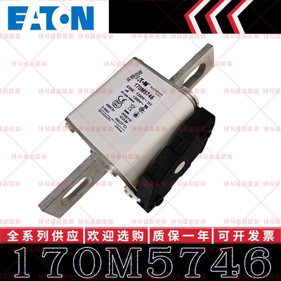 170M系列巴斯曼快速熔断器 170M5746 170M5747 170M5748 170M5749