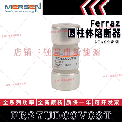 FR27UD69V63T A076820 FR27UD69V80T B076821 FR27UD69V100T 熔断