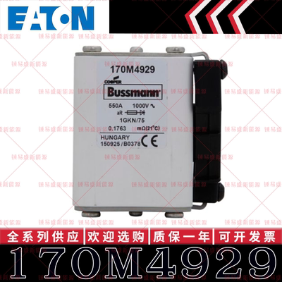 170M系列巴斯曼快速熔断器 170M4927 170M4928 170M4929 170M4930