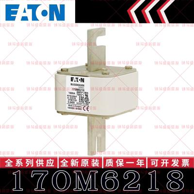 170M系列巴斯曼快速熔断器 170M6218 170M6219 170M6220 170M6221