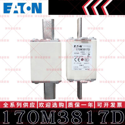 170M3817D 315A 690V 700V 现货伊顿巴斯曼BUSSMANN保险丝 熔断器
