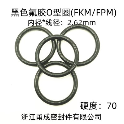 氟胶耐高温耐腐蚀密封圈