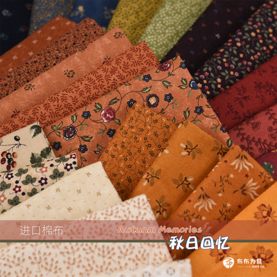 美国 日本进口棉布 手工拼布 Autunm Memories 秋日回忆E2