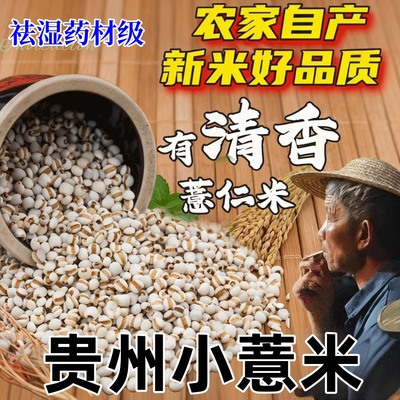 贵州兴仁小薏米产地直发