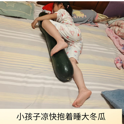 真大冬瓜抱着睡觉清凉消暑光滑降温舒服新鲜真正超大青皮冬瓜空调