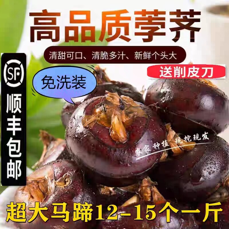 安徽带泥超大果脆甜无渣马蹄荸荠现挖现发农家产地直销时令水果菜