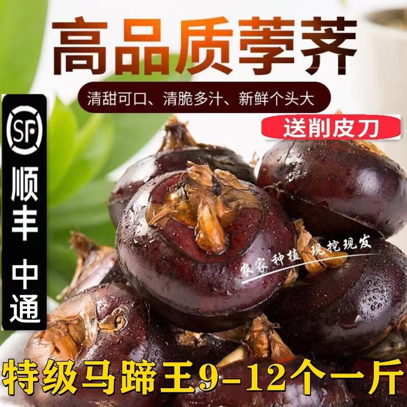 安徽带泥超大果王脆甜无渣马蹄荸荠现挖现发农家产地直销时令水果