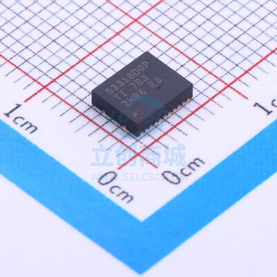 DC-DC电源芯片 TPS53318DQPR LSON-CLIP-22 TI()