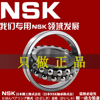 NSK双列调心球轴承进口