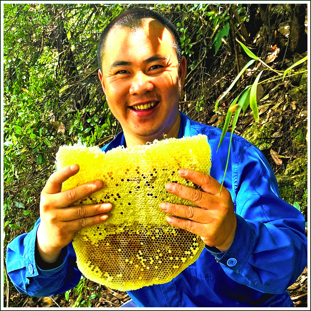 蜂巢蜜土蜂蜜中华蜂深山高海拔纯正天然零添加边荷枫五味子百花蜜