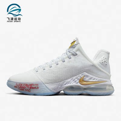 Nike/耐克正品LEBRON 19詹姆斯19男女实战耐磨篮球鞋 DV3334-100