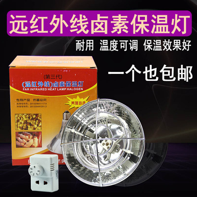 远红外线仔猪畜牧取暖灯泡防水