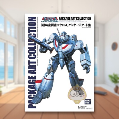 【现货】超时空要塞Macross 设定资料集 日文动画原画插画设定集日版艺术进口原版图书外版书籍『超時空要塞マクロス』パッケ—ジ