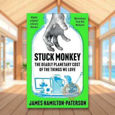 【预售】被困住的猴子英文社会科学进口原版外版书平装14岁以上Stuck Monkey James Hamilton - Paterson Apollo书籍图书正版