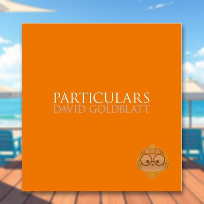 【预售】大卫·戈德布拉特：细节 David Goldblatt: Particulars 原版英文摄影作品集进口书籍图书外版正版