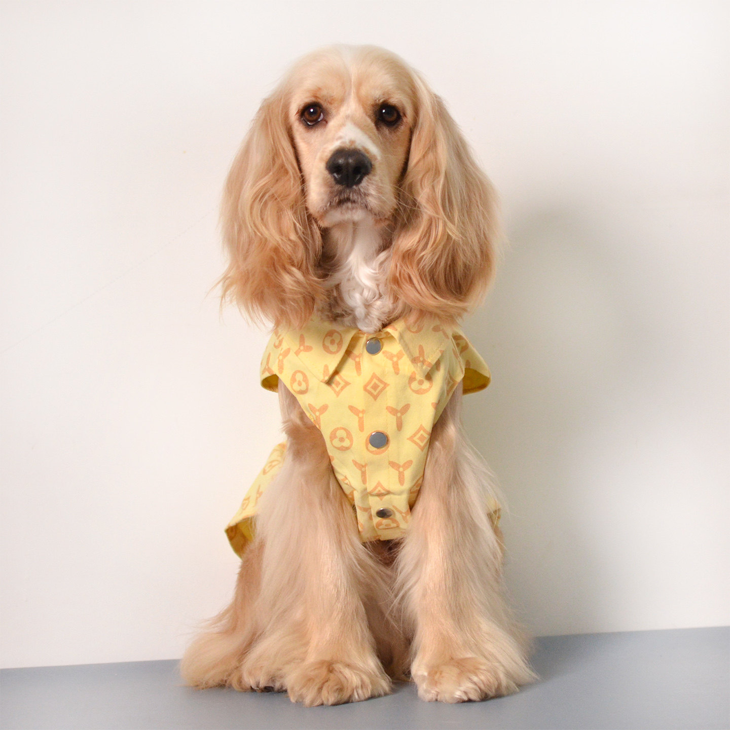时尚狗狗衣服中小型犬雪纳瑞柯基比熊博美比熊居家外出通用款