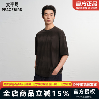 【商场同款】太平鸟男装 2026年夏季新款宽松刺绣T恤男B2CNG223L