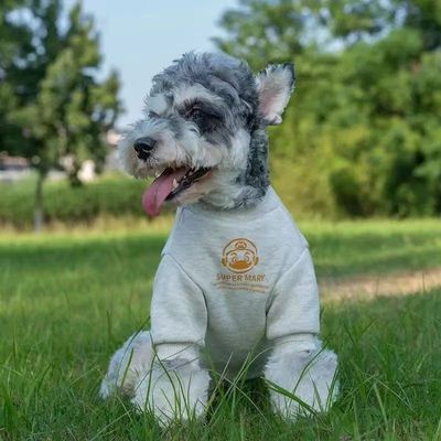 狗狗衣服秋冬款小体泰迪比熊博美小型犬冬季宠物2024新款两脚服装