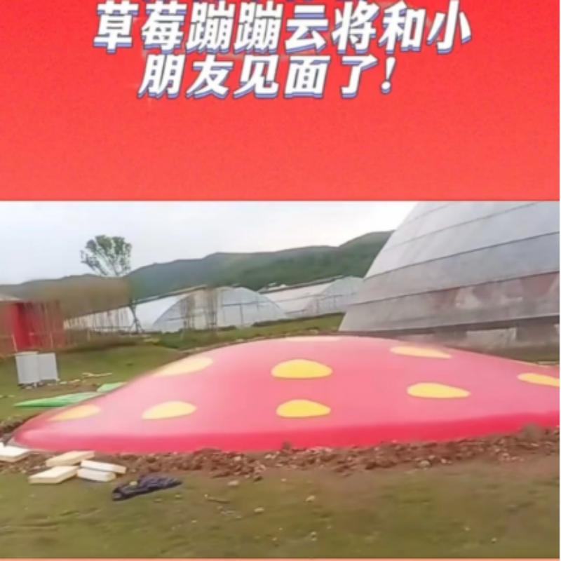 蹦床钢架蹦蹦云充气跳跳床水压蹦蹦床大小基础款跳跳云沙窝蹦床厂