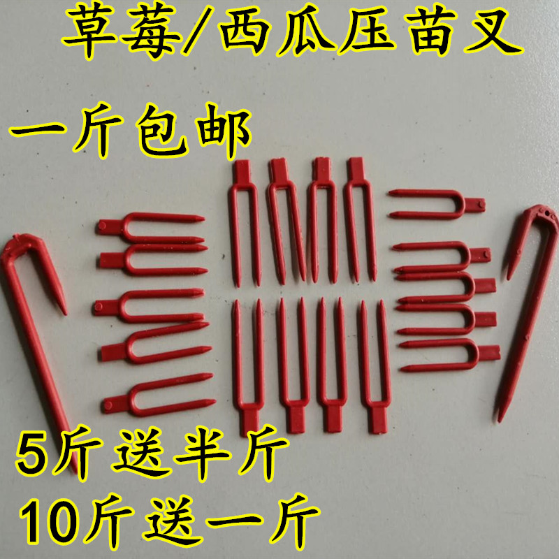 草莓叉子草莓育苗压蔓器压苗叉藤植物固定器 压蔓生根西瓜叉甜瓜