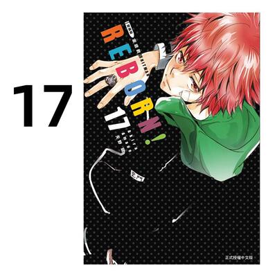 现货 漫画 家庭教师HITMAN REBORN 爱藏版 17 台版漫画书 天野明 东立出版社 繁体中文 周边全套画集日本动漫小说正版原著书籍