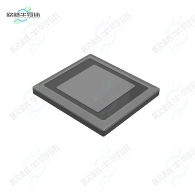 NOIX1SN012KB-LTI[传感器CMOS IMAGE SENSOR 163LGA]