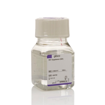 Gibco 21060-017 HAT添加剂 100ml