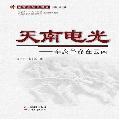 天南电光:辛亥在云南潘先林历史书籍