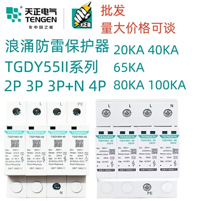 天正TGDY55II浪涌电涌保护器防雷避雷器2P4P20KA40KA65KA二级385V